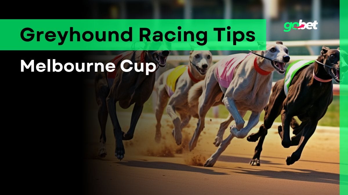Greyhound Melbourne Cup Tips for Trifecta & First Four