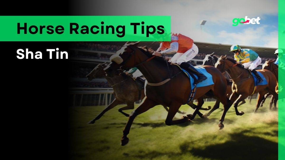 Free Horse Racing Tips & Today’s Best Bets