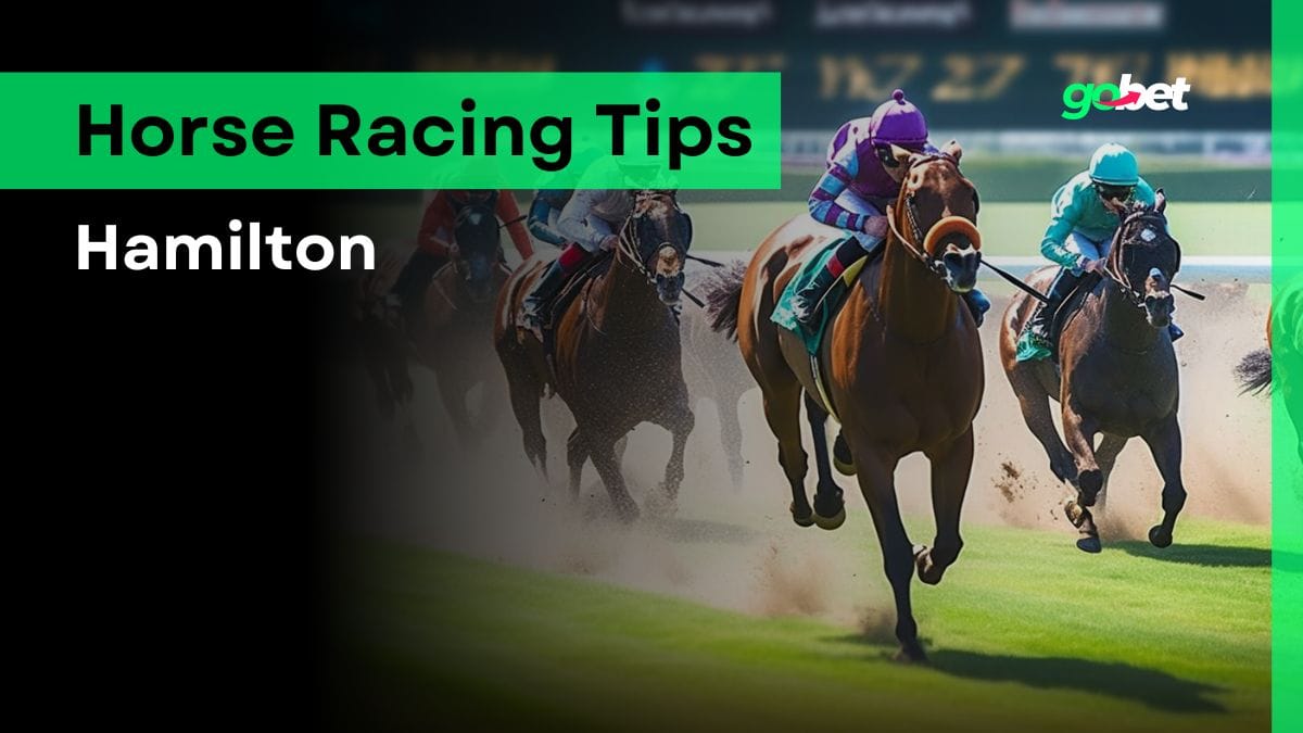 FREE Expert Horse Racing Tips & Best Bets