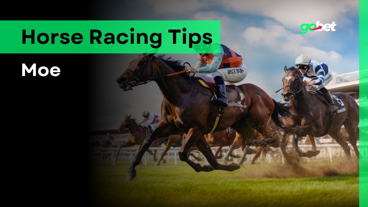 Horse Racing Tips