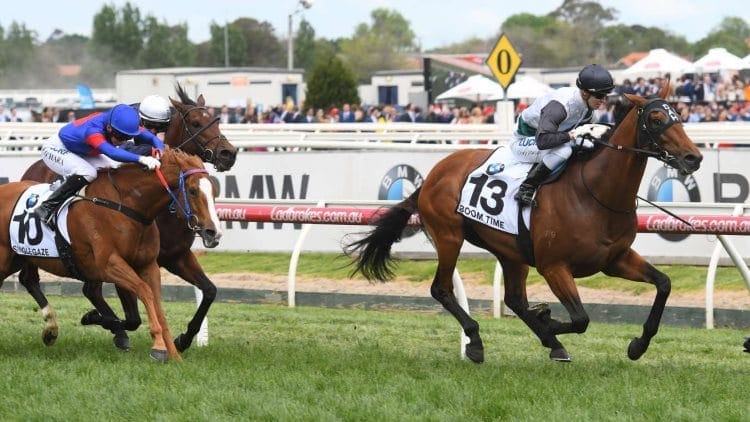 What is a Quinella & What is an Exacta? Bet Types Explained