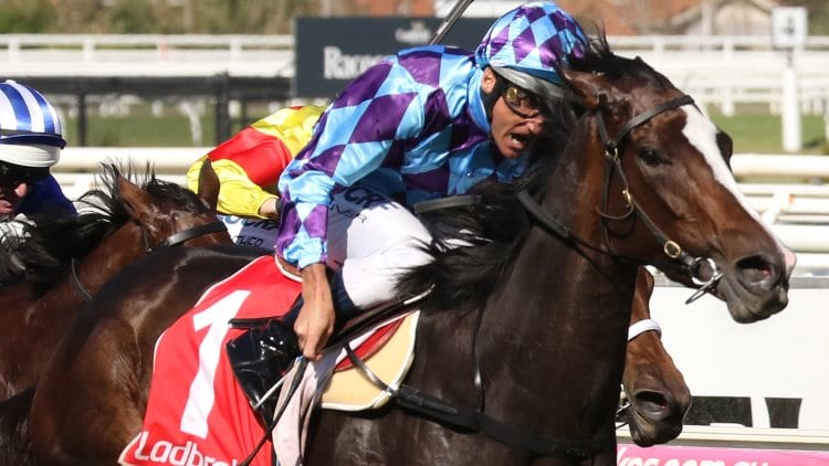 Queensland Oaks 2019 – Field Preview, Odds & Betting Tips | GoBet