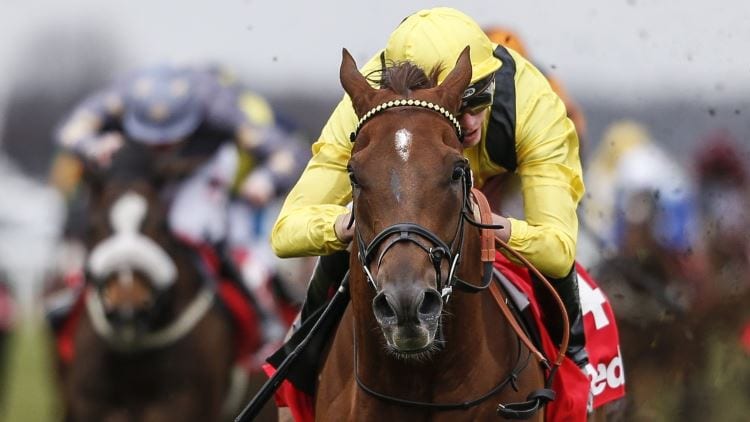 2021 Ranvet Stakes Betting Tips & Predictions