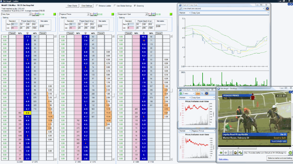 Bet Angel - Betfair Trading Software Review (2020) | GoBet