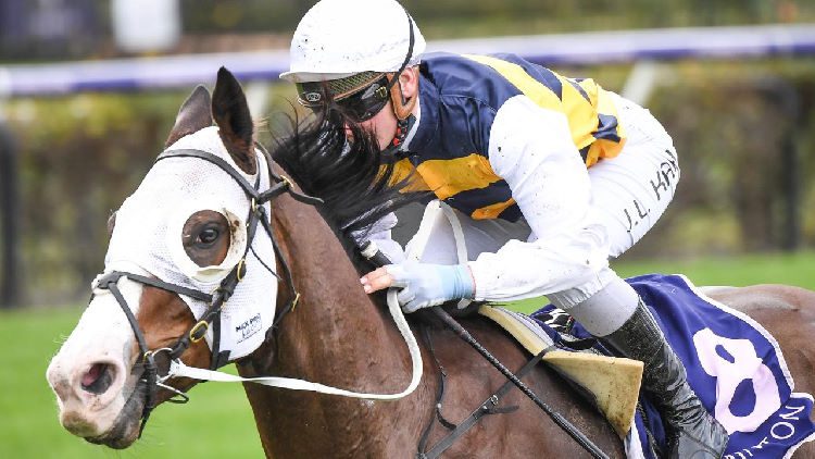 2021 Toorak Handicap Tips - Horses, Odds & Best Bets