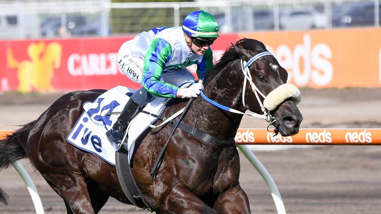 Toorak Handicap Tips: Trifecta & First Four - GoBet®