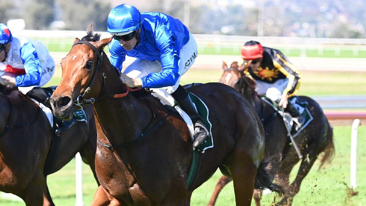 Surround Stakes Tips: Trifecta & First Four - GoBet®