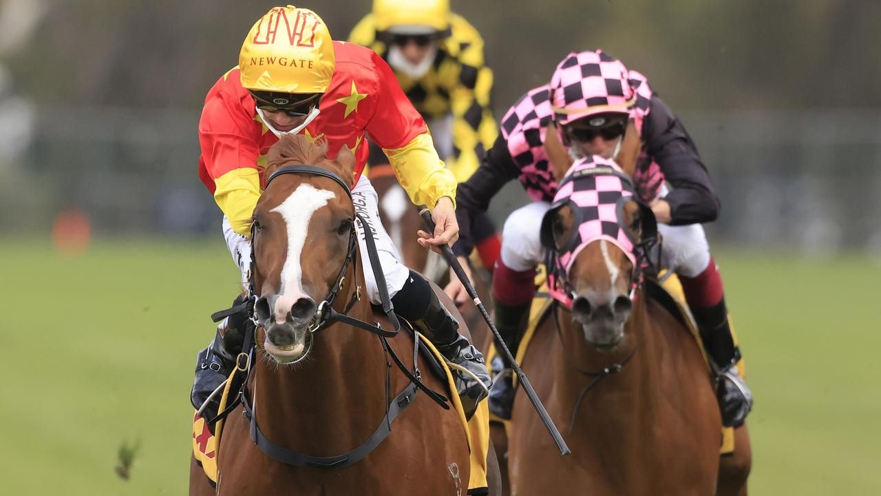 The Hunter Tips: Trifecta & First Four - GoBet®