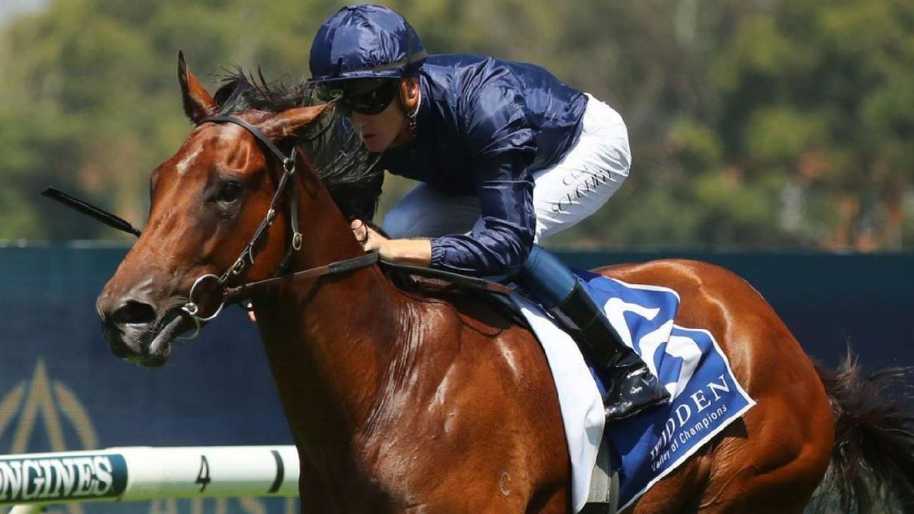 Inglis Millennium Tips: Trifecta & First Four - GoBet®