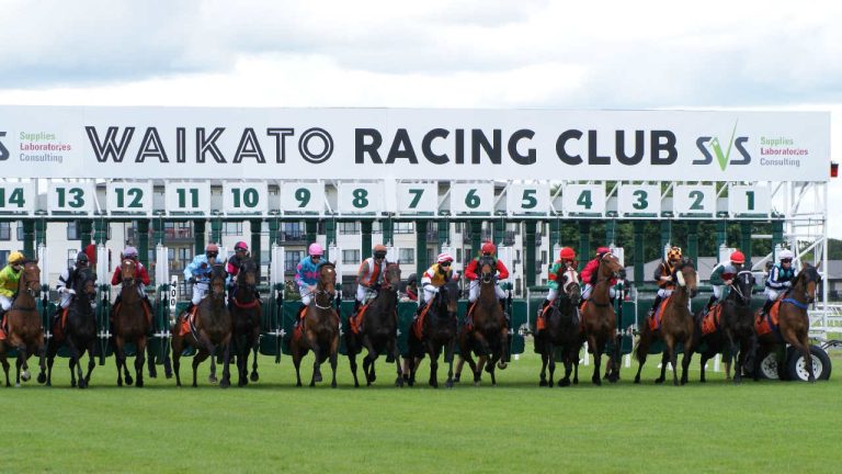 GoBet® - Today's Best Bets & Expert Betting Tips