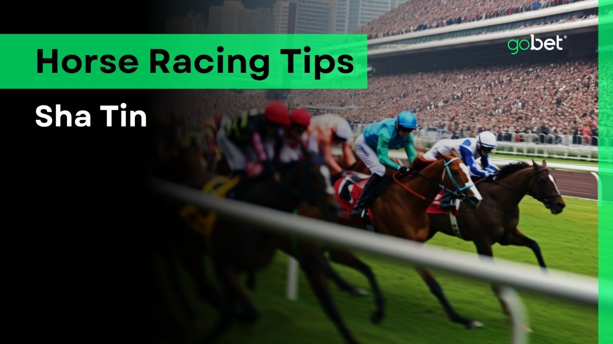 Horse Racing Tips