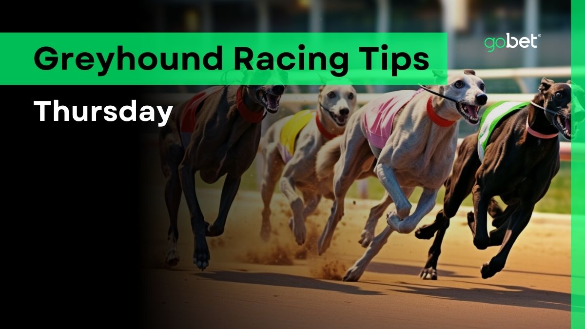 GoBet® - Today's Best Bets & Expert Betting Tips