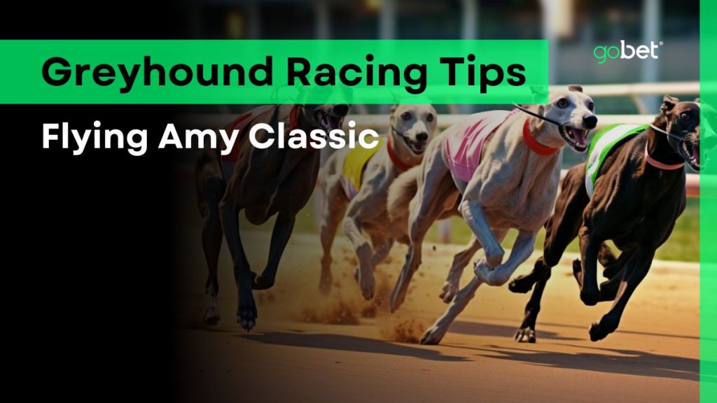 Flying Amy Classic Tips for Trifecta & First Four