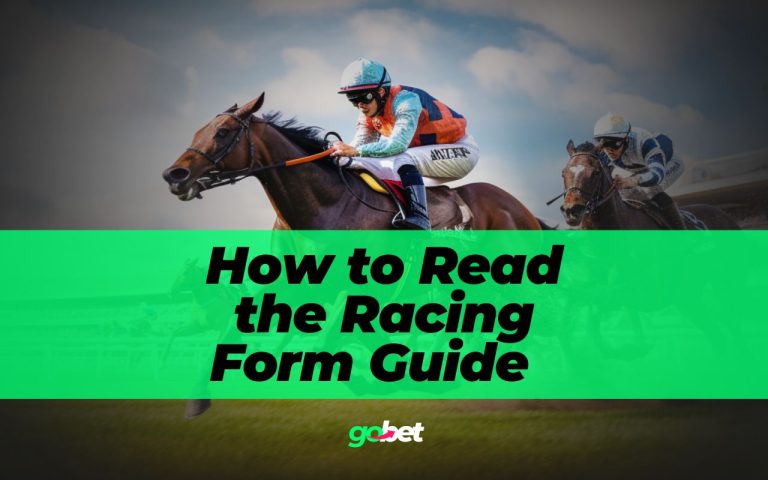 How to Read the Horse Racing Form Guide