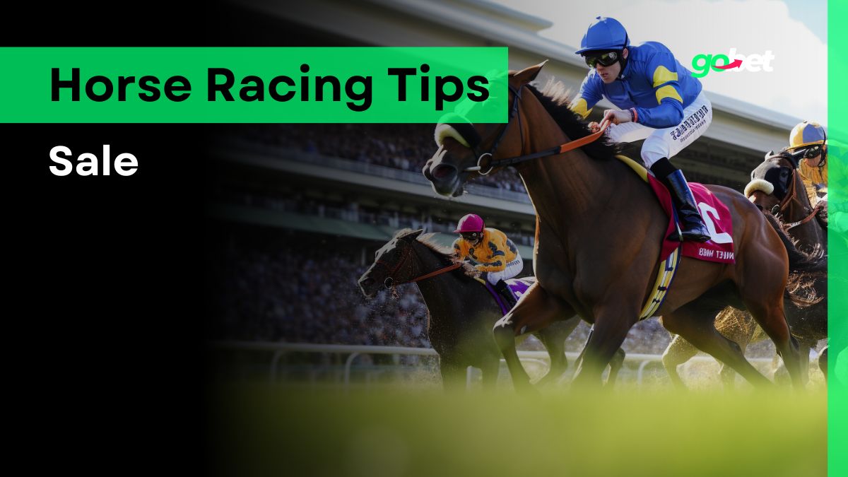 FREE Expert Horse Racing Tips & Best Bets