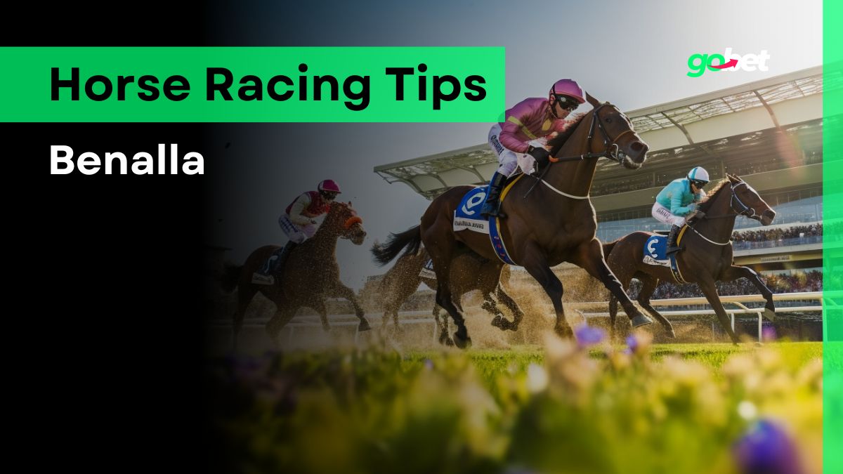 FREE Expert Horse Racing Tips & Best Bets