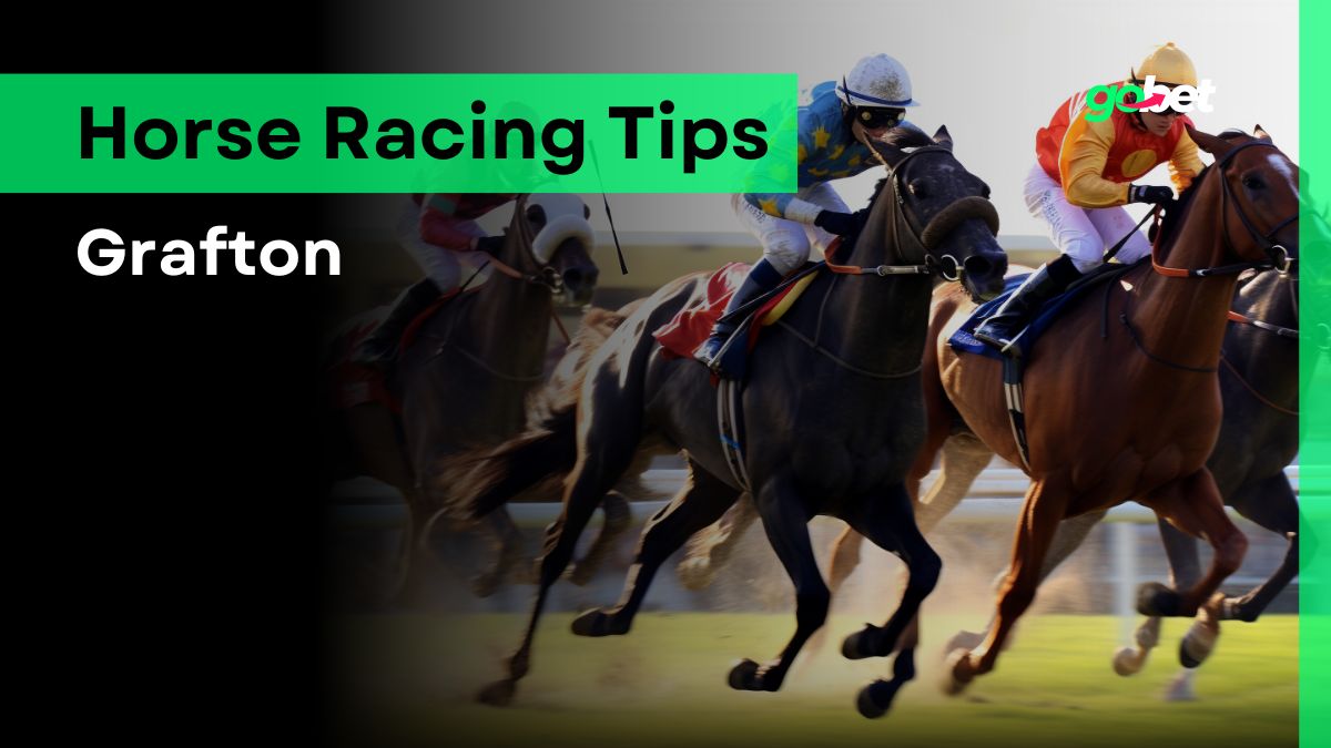 FREE Expert Horse Racing Tips & Best Bets