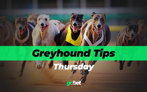 Greyhound Racing Tips for Thursday, June 4th 2026