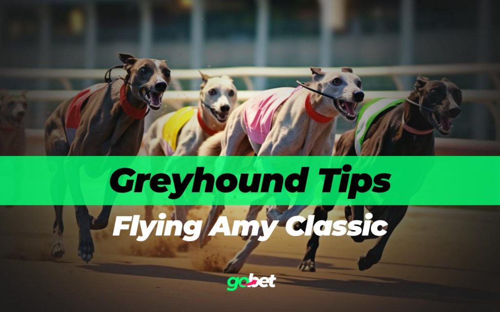 Flying Amy Classic Tips for Trifecta & First Four