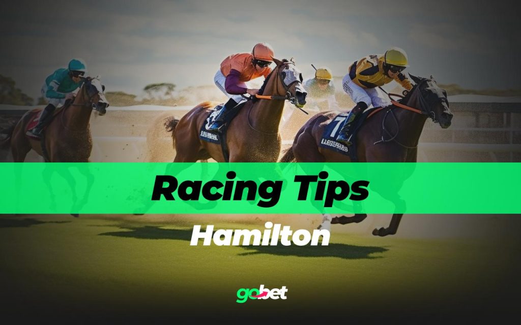 Hamilton Racing Tips for Tuesday, May 26th 2026