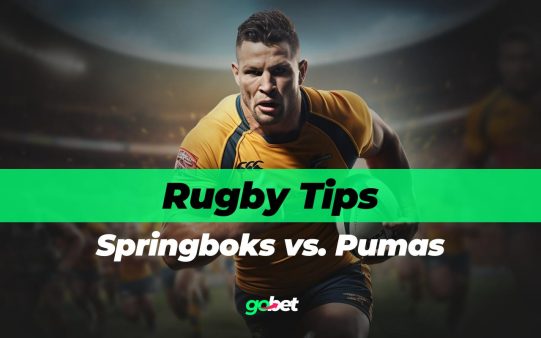 All Blacks vs. Springboks Predictions - Rugby Championship Week 3 2025